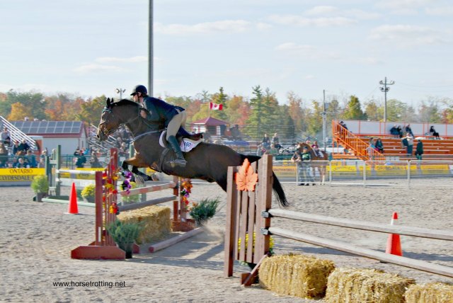 Southern Ontario Fall Fairs … with Horses. Gotta have horses. | Global ...