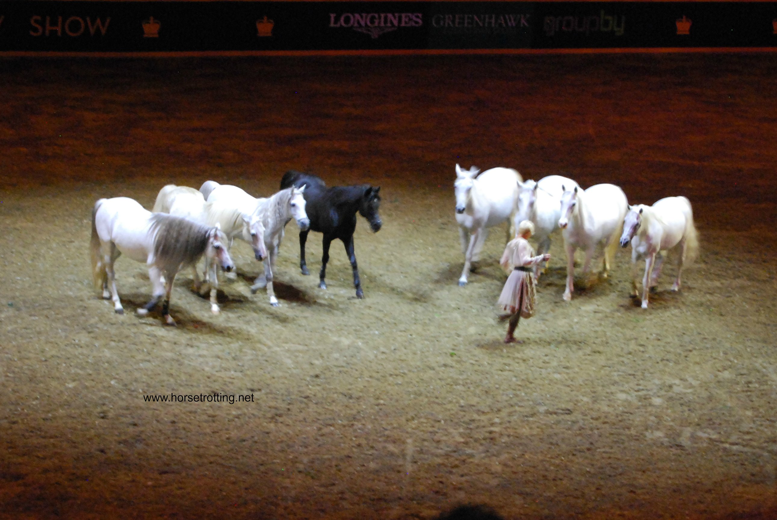 Horsetrotting’s Top Five Fall (Horse) Fairs in 2017 | Global Travel for ...
