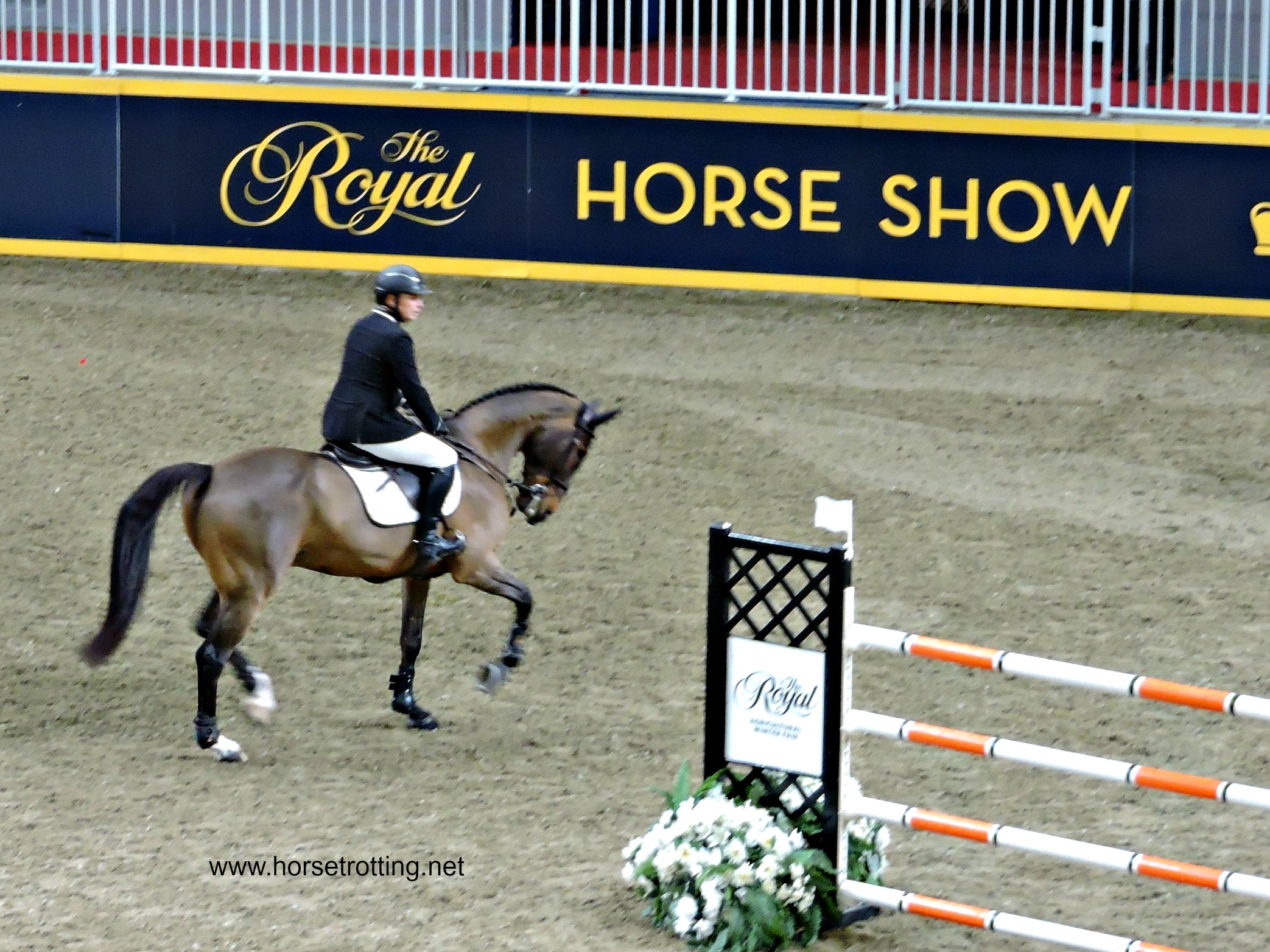 Travel Toronto (Part IV): The Royal International Accumulator Show ...